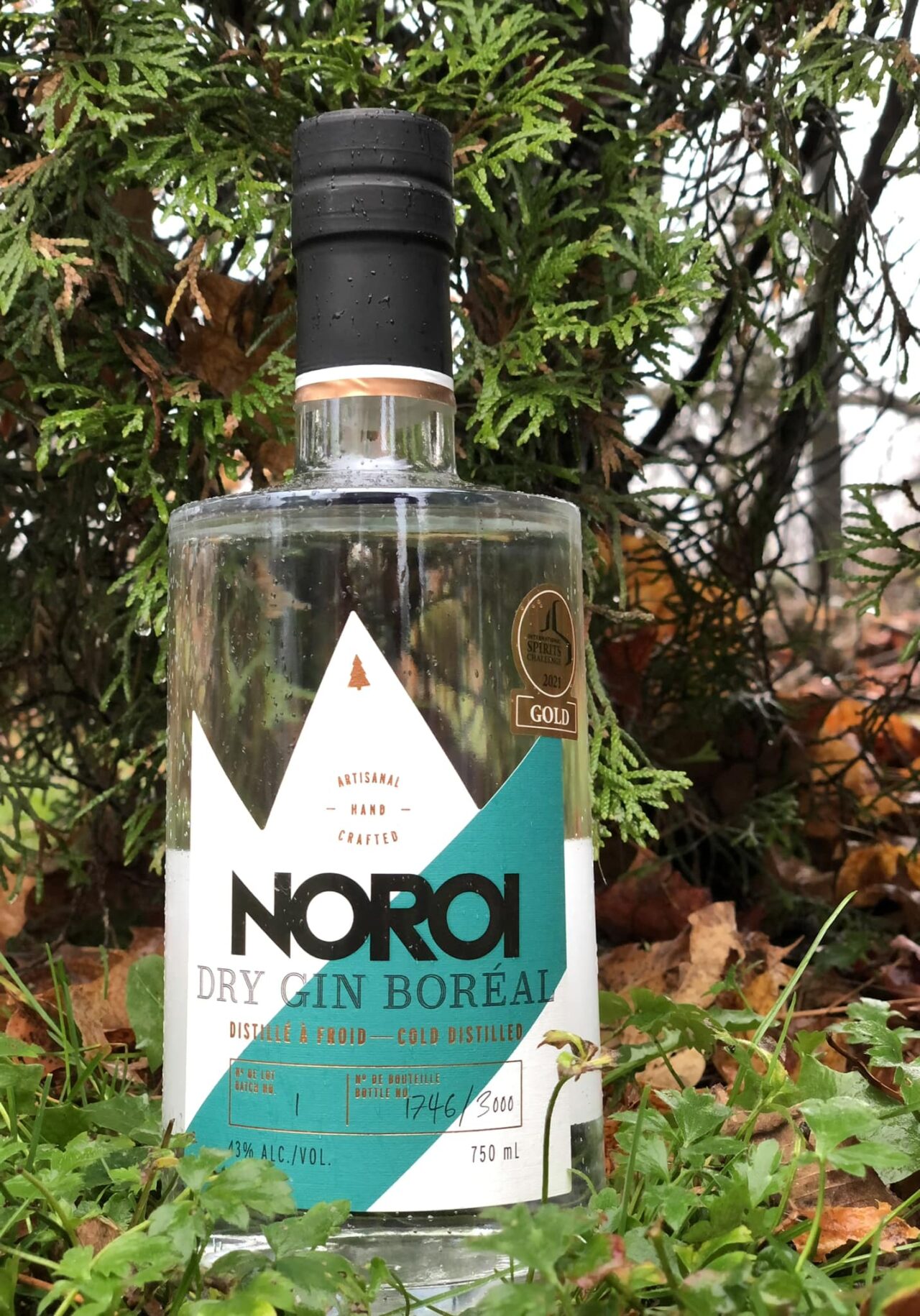 Noroi Boréal Dry Gin | Let it beGin